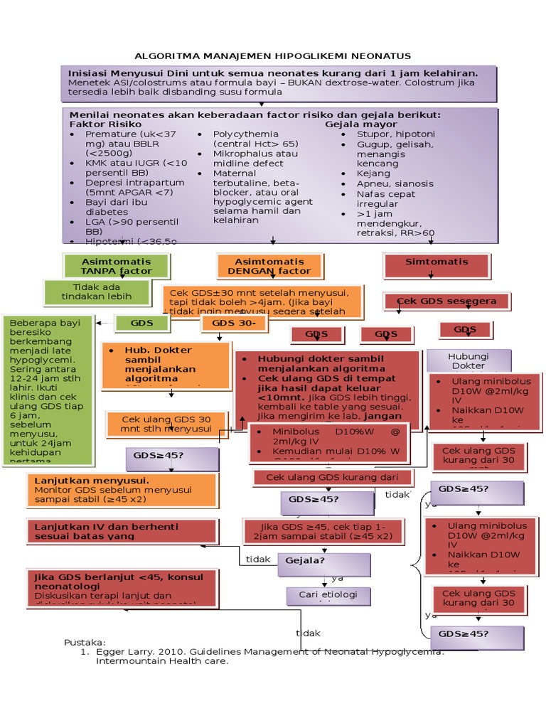 Algoritma Manajemen Hipoglikemia Pada Neonatus | PDF