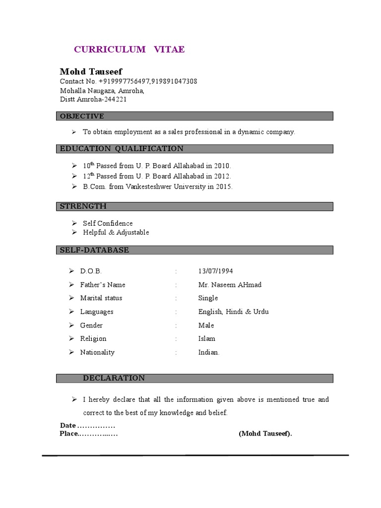 Mohd Tauseef's Sales Professional CV | PDF