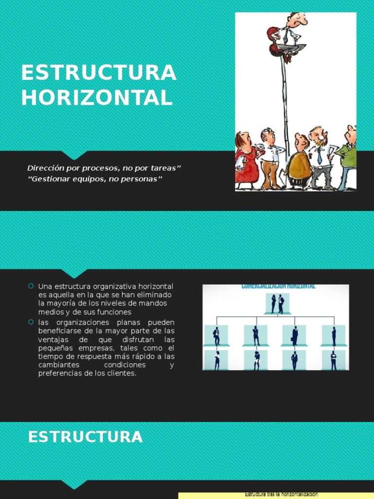 Estructura Horizontal | PDF | Toma de decisiones | Economias