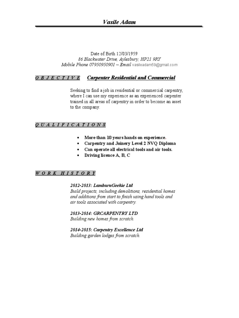 Vasile Adam CV PDF | PDF