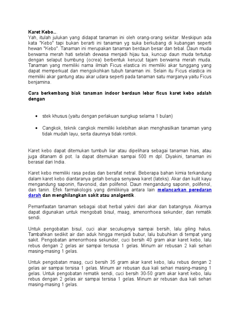 Karet Kebo | PDF