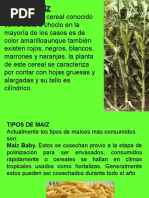 Contenido Nutricional Del Maiz | PDF | Maíz | Alimentos
