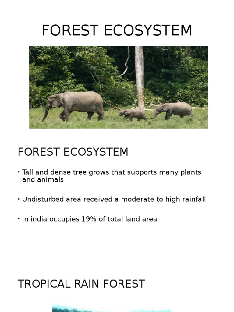 Forest Ecosystem | PDF | Grassland | Forests