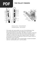 Knee Exercises-OrthoInfo - AAOS | PDF | Foot | Knee