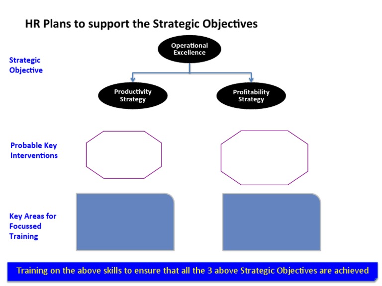 Strategic HR Training for Excellence | PDF