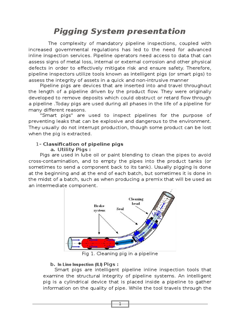 Pigging System Presentation | Industries | Technology