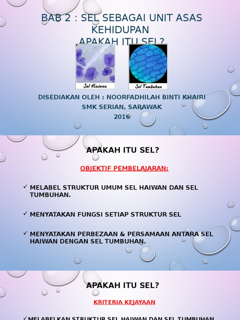 Struktur & Fungsi Sel Haiwan & Sel Tumbuhan | PDF