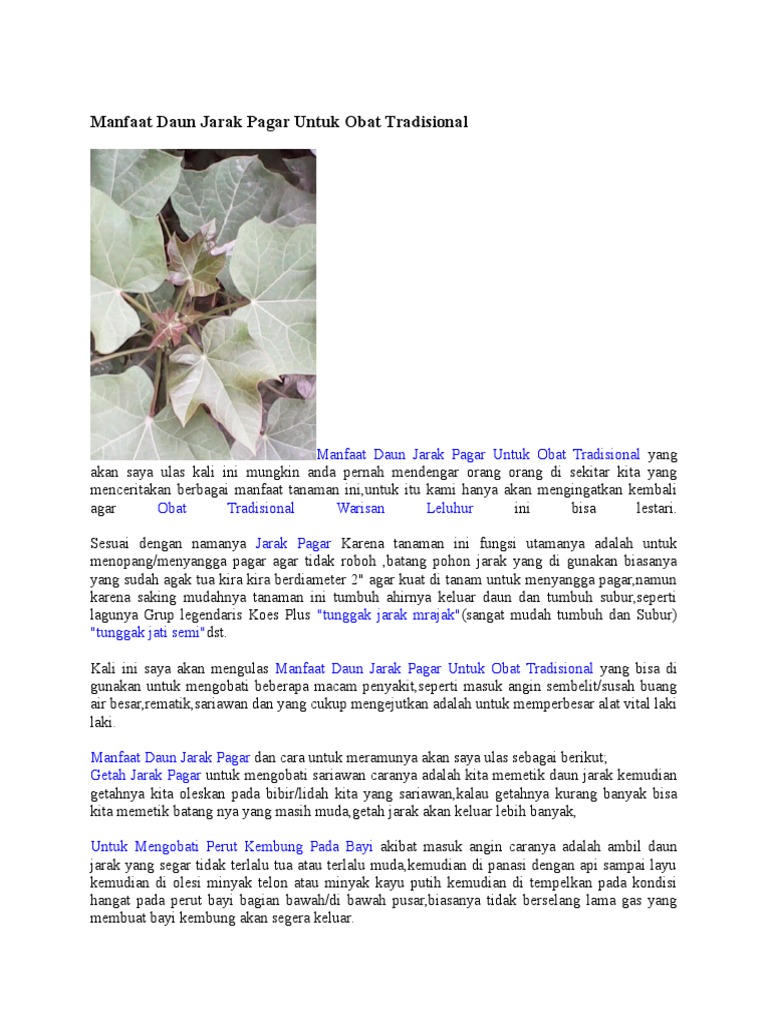 Manfaat Daun Jarak Pagar Untuk Obat Tradisional | PDF | Pengembangan Diri