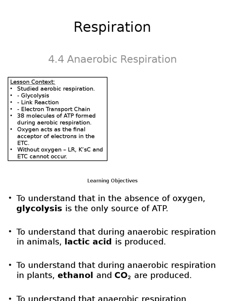Anaerobic Respiration | PDF | Cellular Respiration | Fermentation