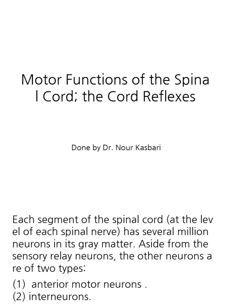 Motor Functions of The Spina L Cord The Cord Reflexes: Done by Dr. Nour ...