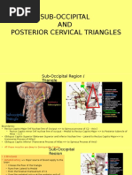 Tumescent Anesthesia Guidelines and Dosage | PDF | Anesthesia | Saline ...