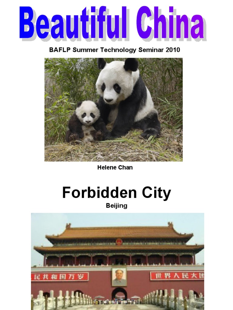 Trip To China | PDF