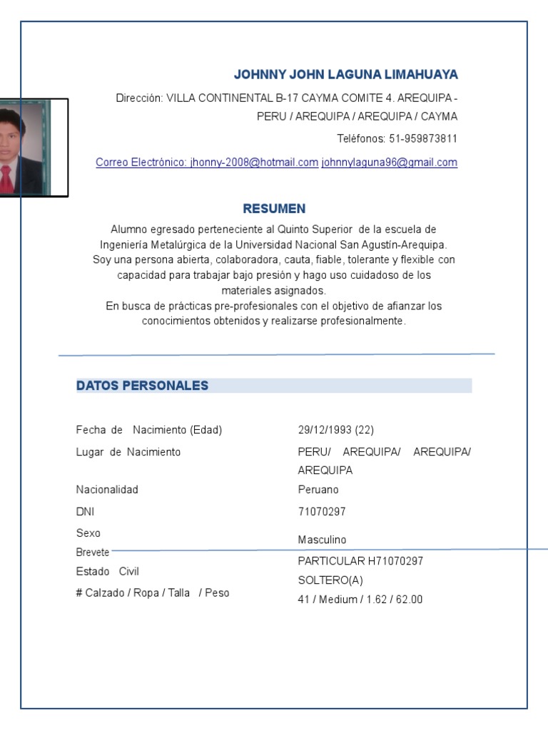 CV Johnny John Laguna Limahuaya | PDF | Perú | Metalurgia