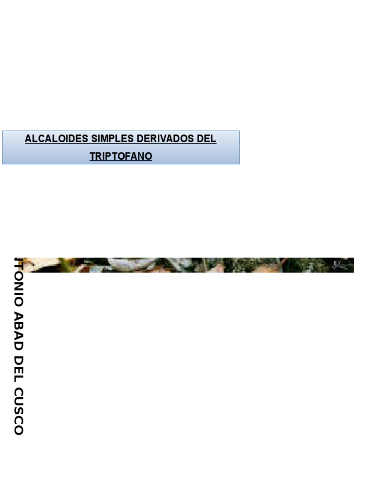 Alcaloides Simples Derivados Del Triptofano | PDF | Psilocibina ...