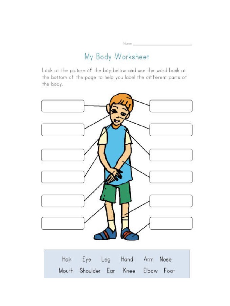 Human Body Labeling | PDF