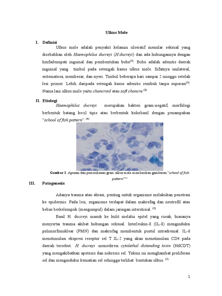 Gambaran Ulkus Mole dan Chancroid | PDF | Sains & Matematika