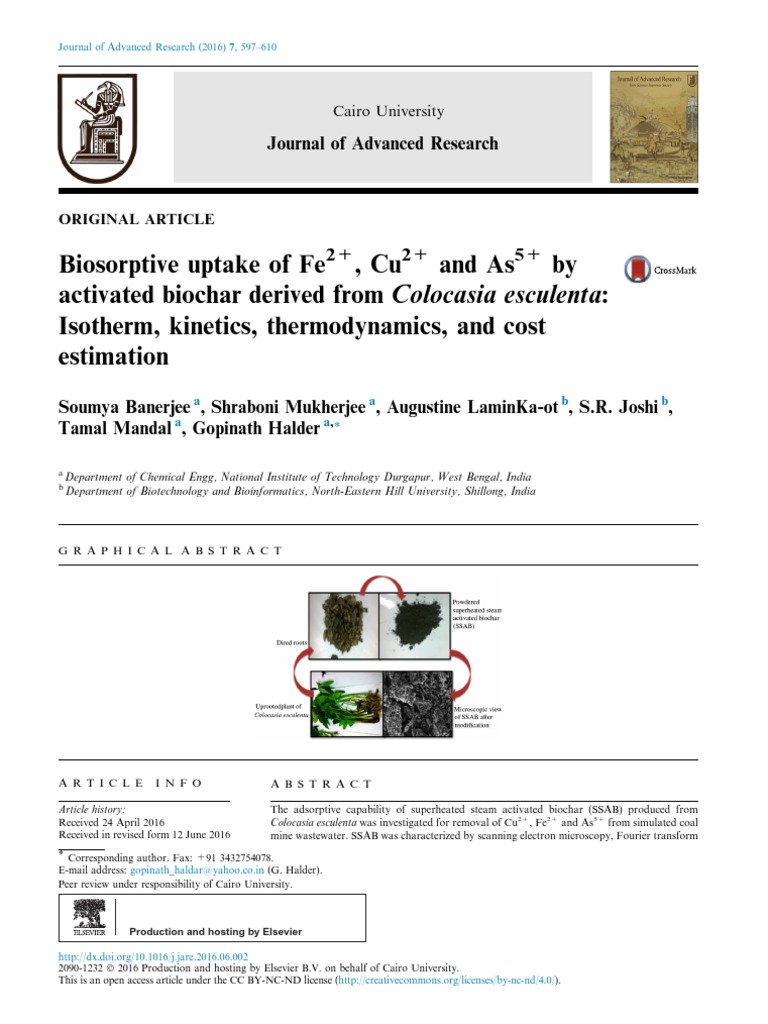 Ads or Ption | PDF | Adsorption | Carboxylic Acid