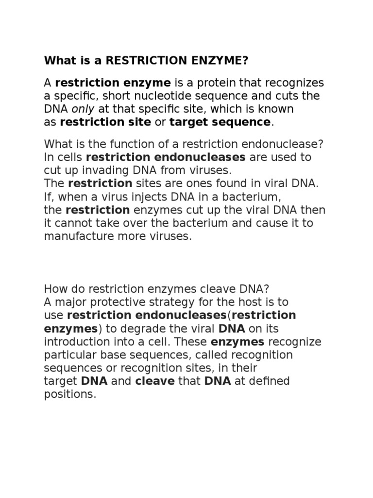 What Is A Restriction Enzyme | PDF | Restriction Enzyme | Dna