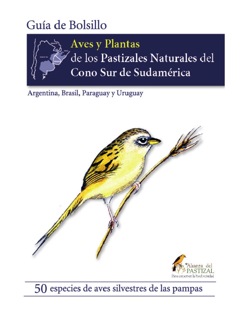 0988-Fichas Aves PDF | PDF