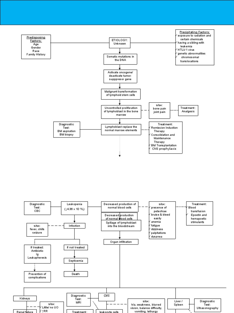 Acute Lymphoblastic Leukemia Pathophysiology Diagram | PDF | Leukemia ...