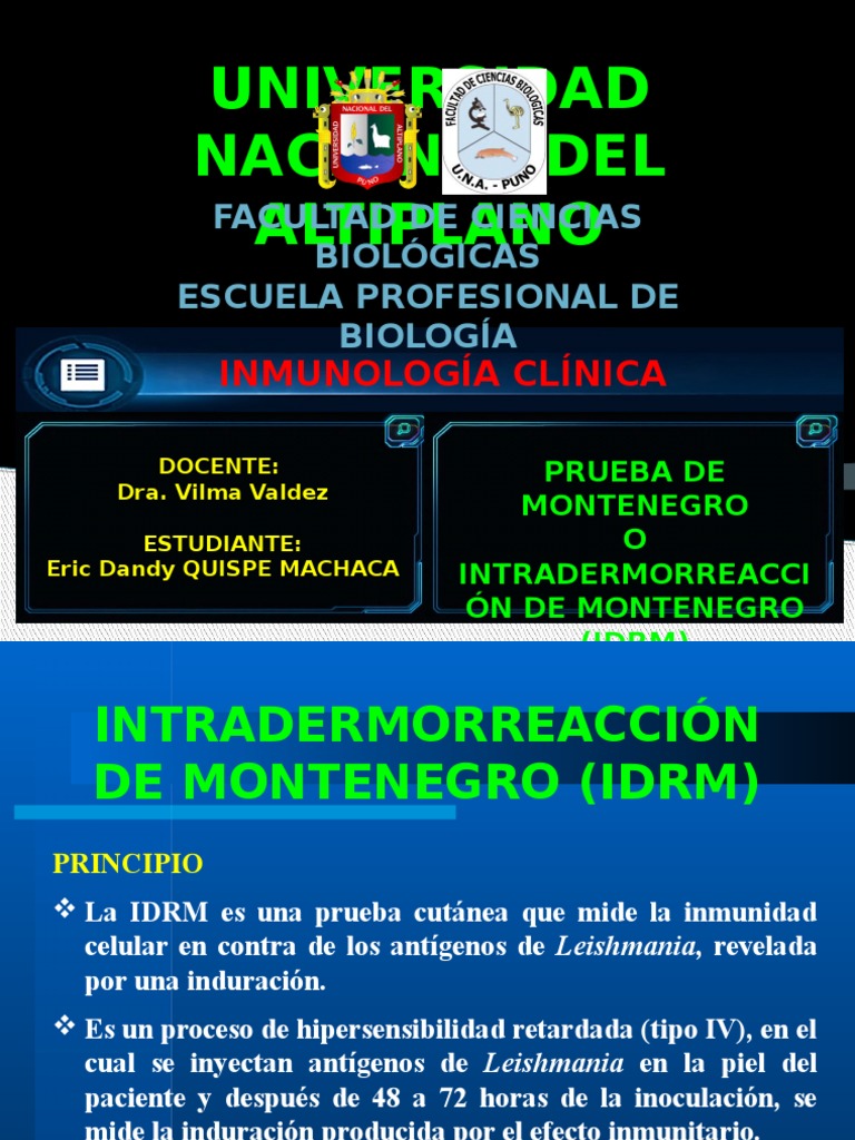 Prueba de Montenegro en Leishmaniasis | PDF | Sistema inmune ...