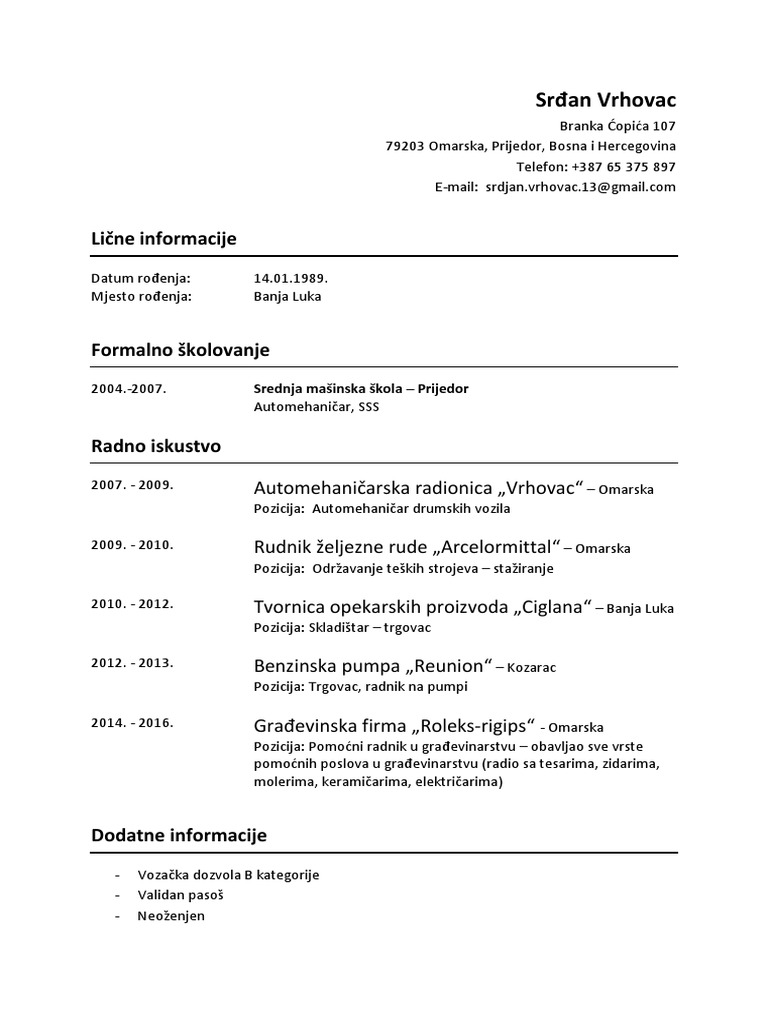 Srđan Vrhovac: CV & Work Experience | PDF