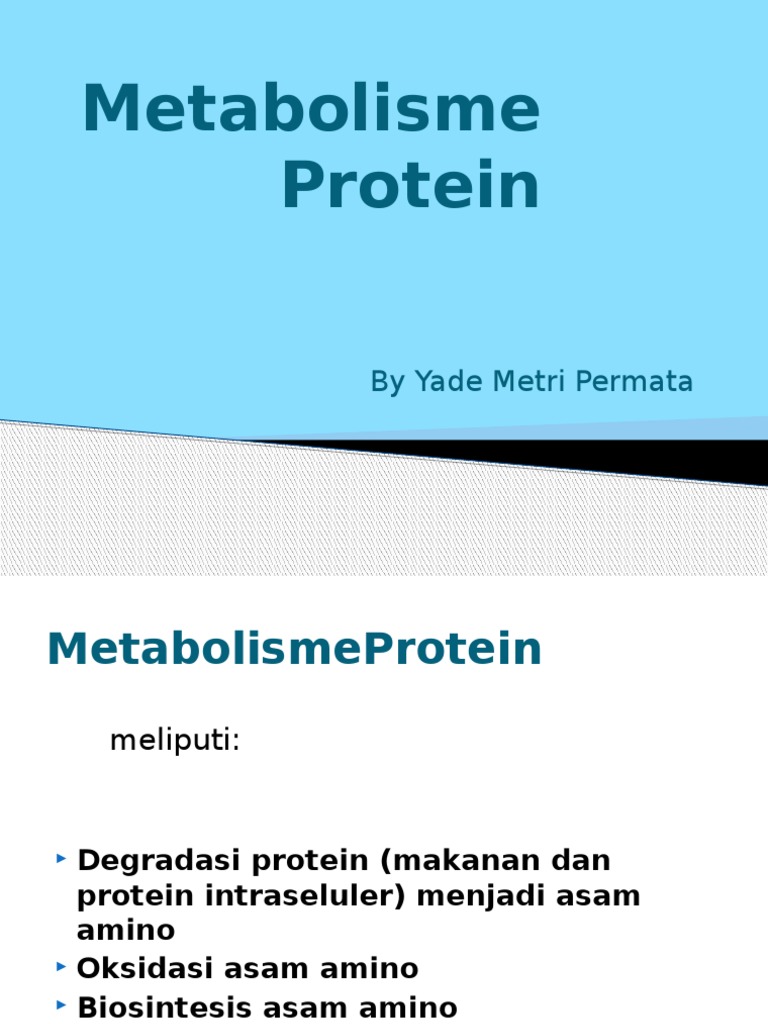 Metabolisme Protein | PDF