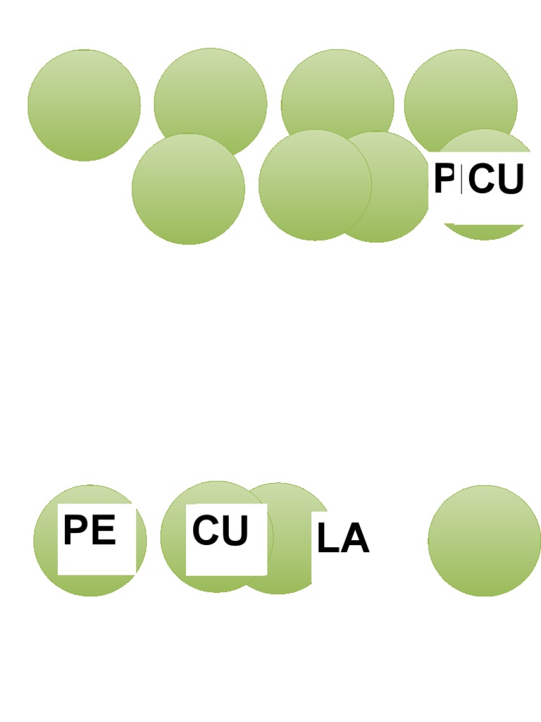 Actividad Pacing Board | PDF