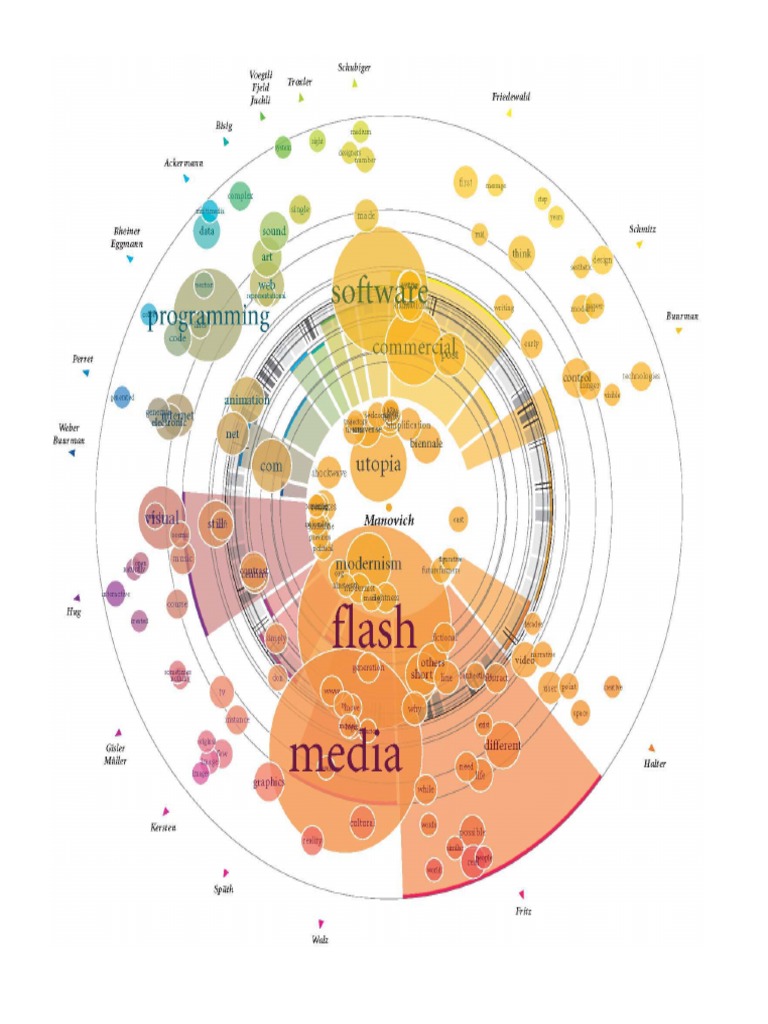 Lev Manovich - Generation Flash | PDF
