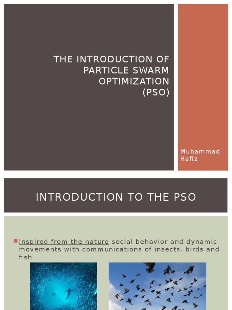 The Introduction of Particle Swarm Optimization (PSO) : Muhammad Hafi Z | PDF | Computational ...