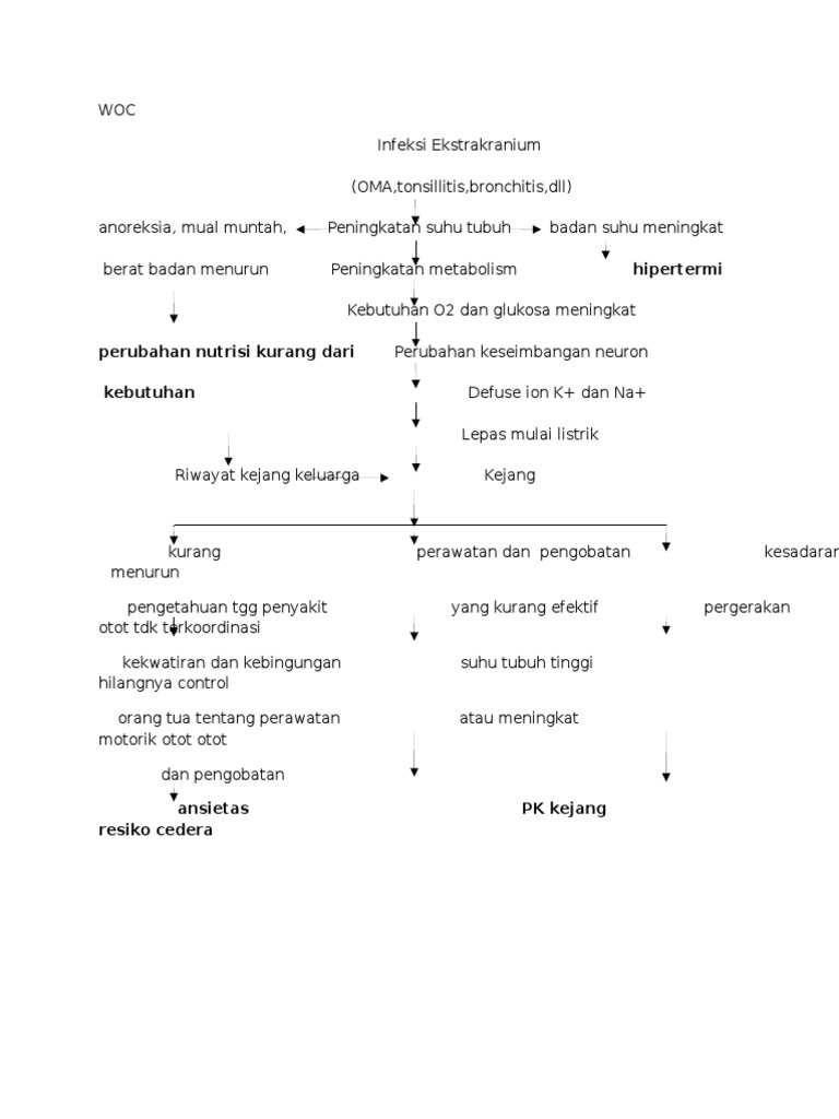 Woc Kejang Demam | PDF