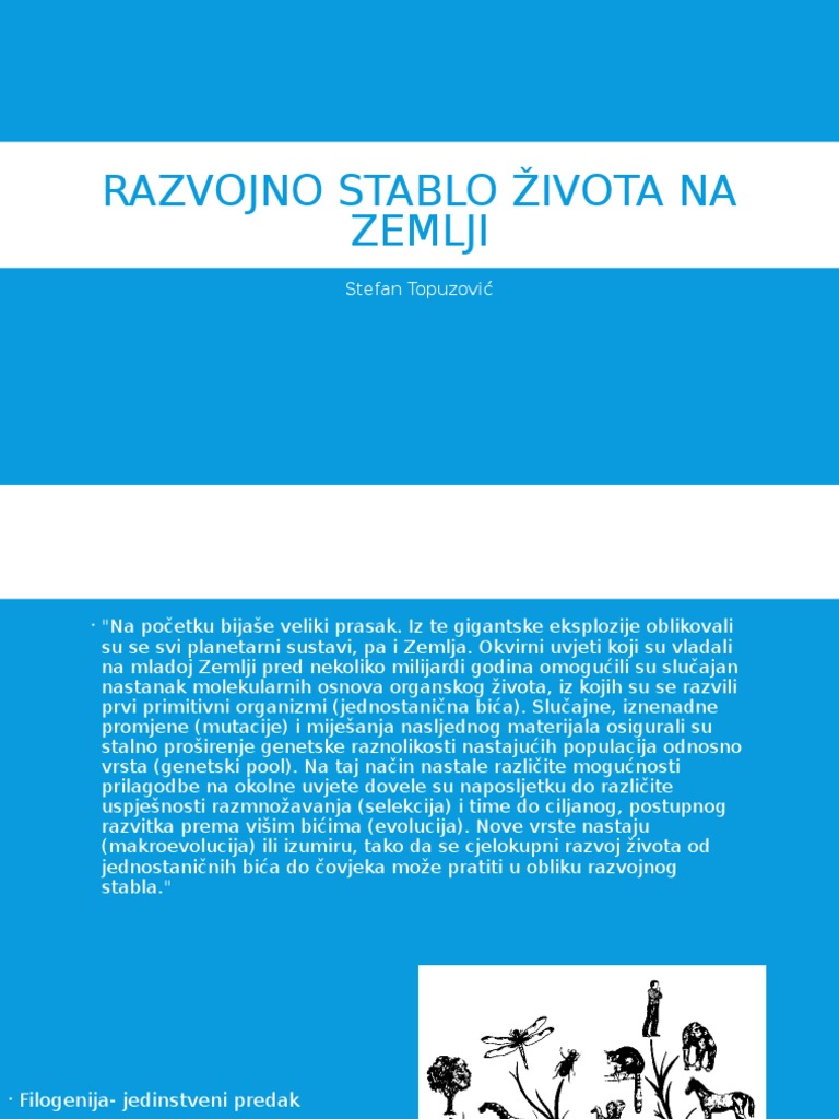 Razvojno Stablo Života Na Zemlji | PDF
