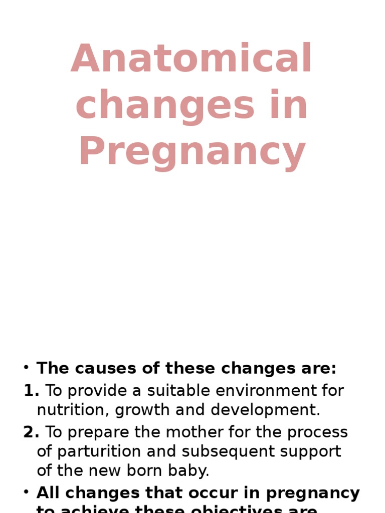 Anatomy Changes During Pregnancy | PDF | Uterus | Vagina