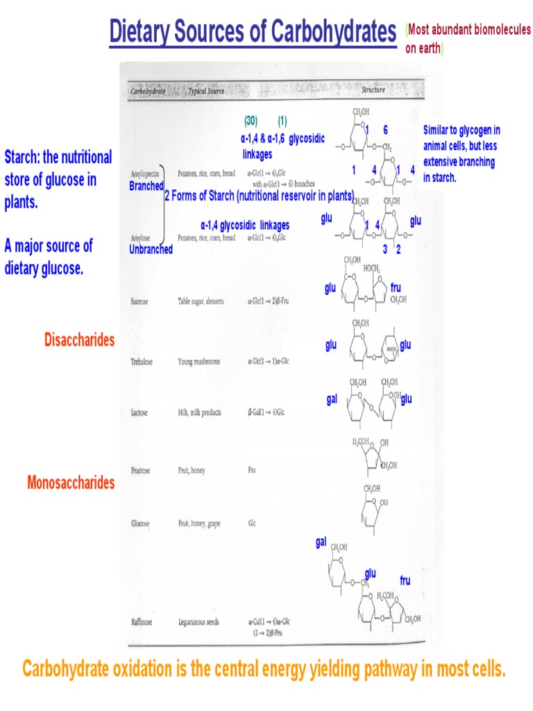 Dietary Sources of Carbohydrates: Carbohydrate Oxidation Is The Central ...