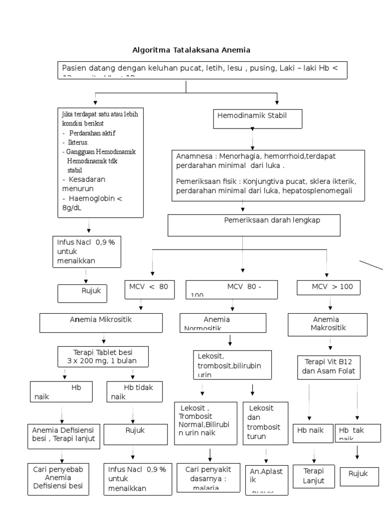 Anemia Bagan, 6-12-2016 | PDF | Sains & Matematika