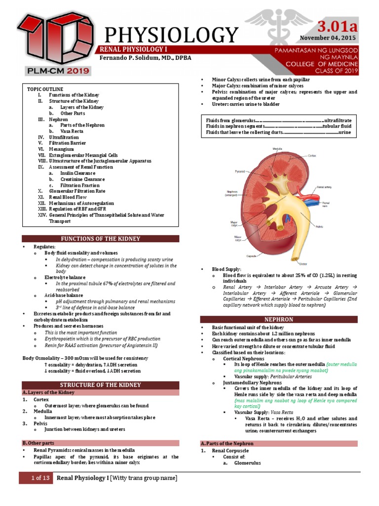 Physiology 3.01a Renal Physiology I.pdf | Renal Function | Kidney