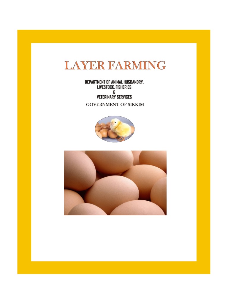Layer Chicken Farming | PDF | Poultry Farming | Poultry