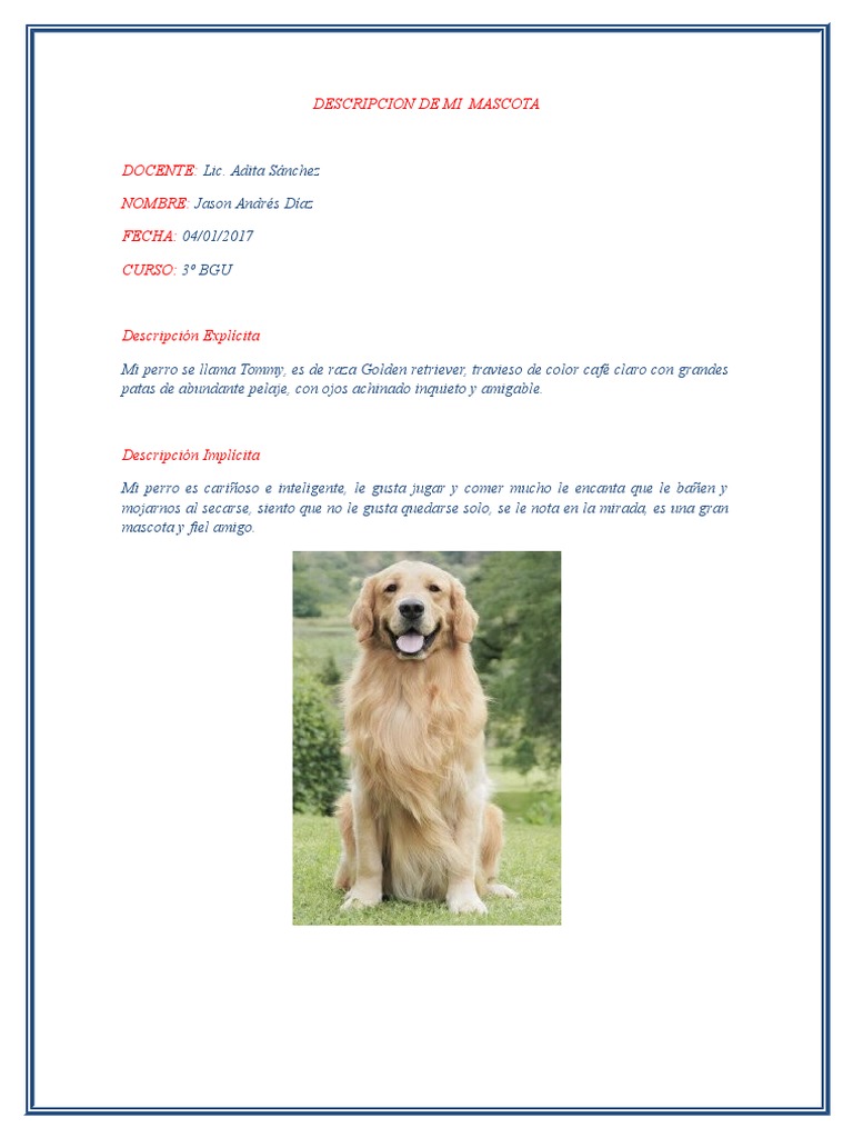 Descripcion A Una Mascota | PDF