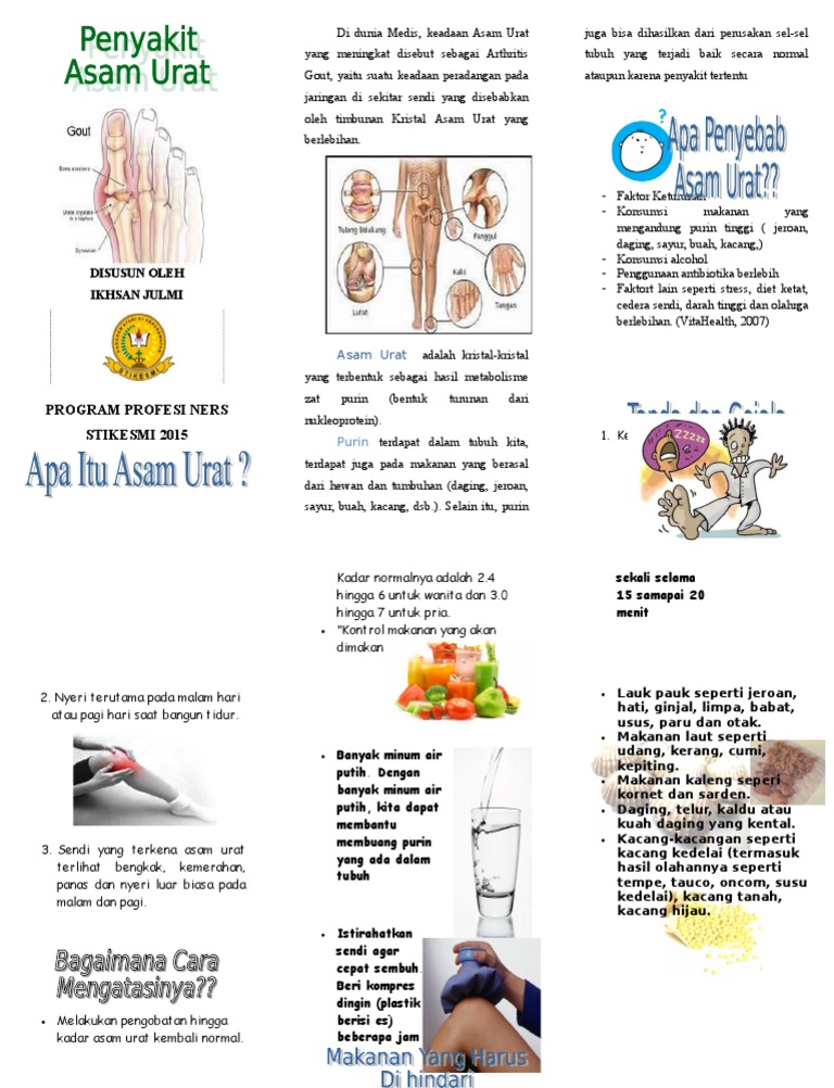 Leaflet Asam Urat | PDF