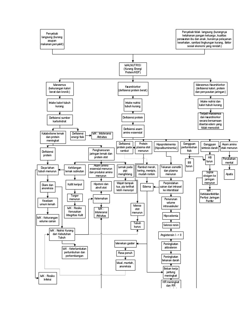 Pathway Malnutrisi | PDF