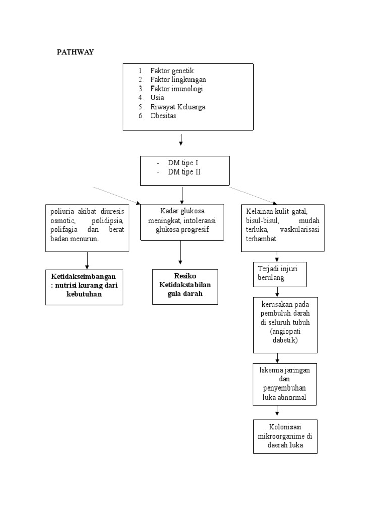 Pathway Diabetes dan Ulkus Diabetikum | PDF