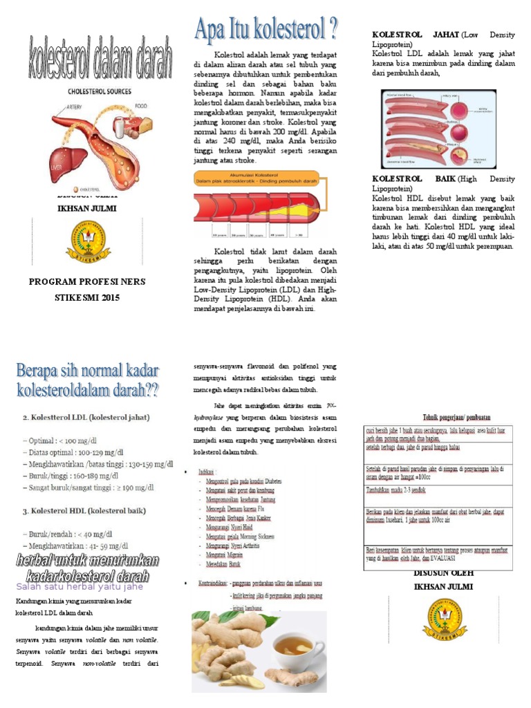 Leaflet Kolesterol | PDF