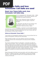 Cell Salt Chart | PDF