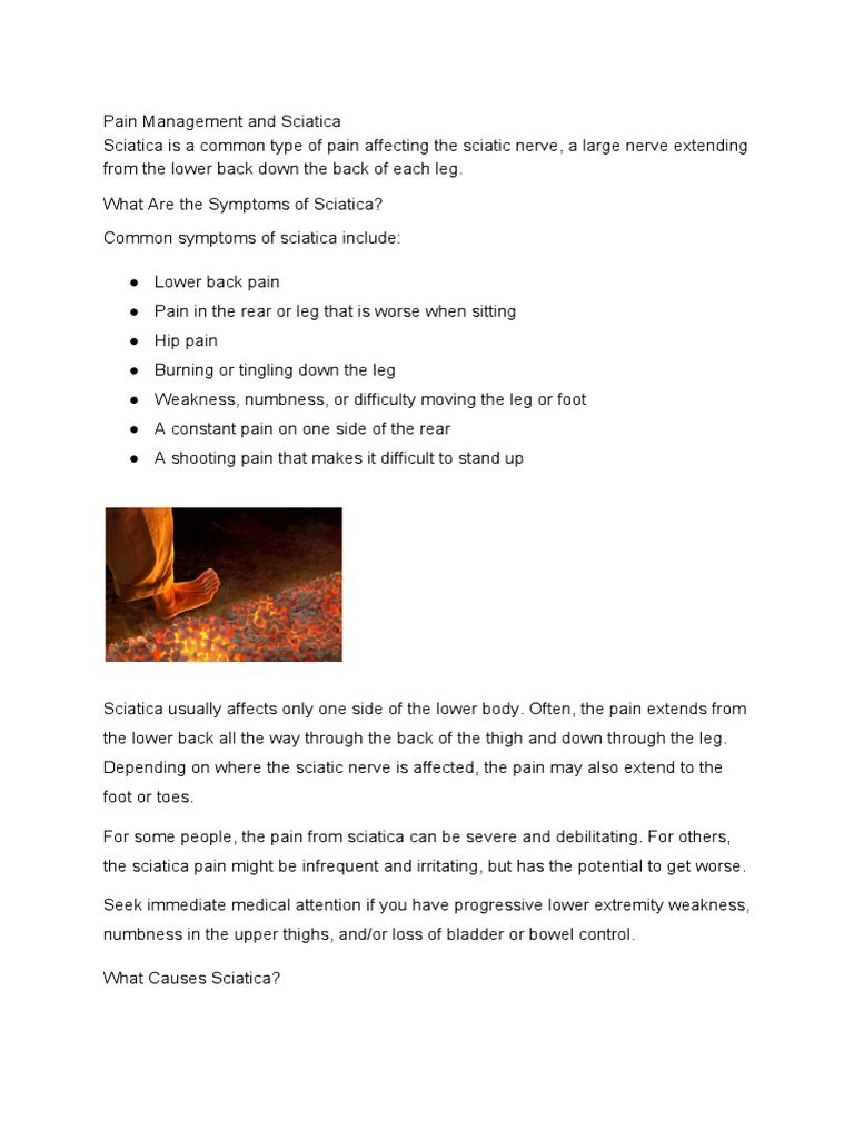 Sciatica | PDF | Neuroanatomy | Human Anatomy