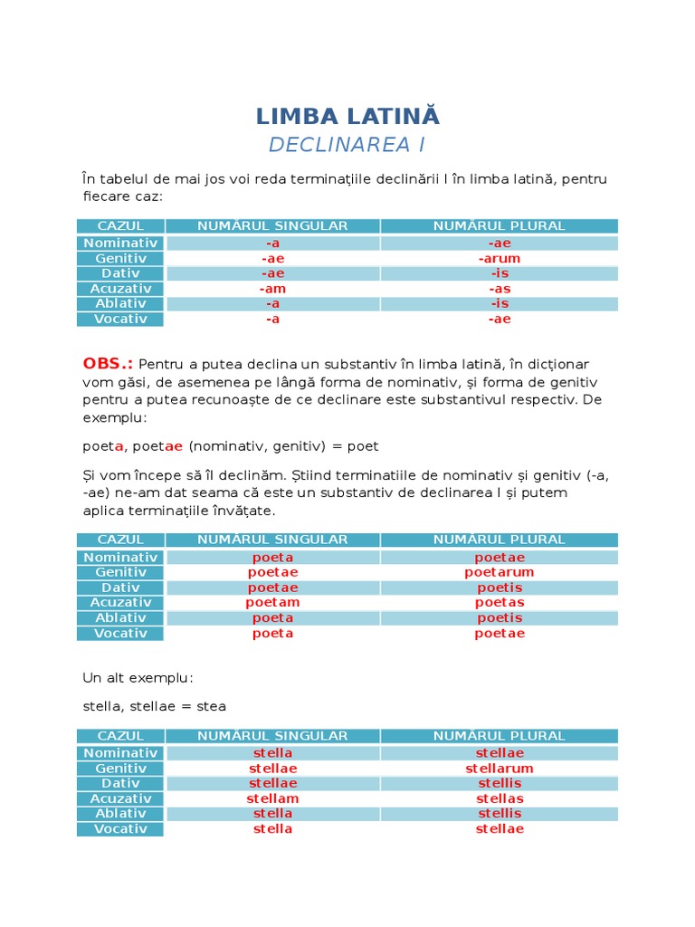 Limba Latină - Declinarea I | PDF