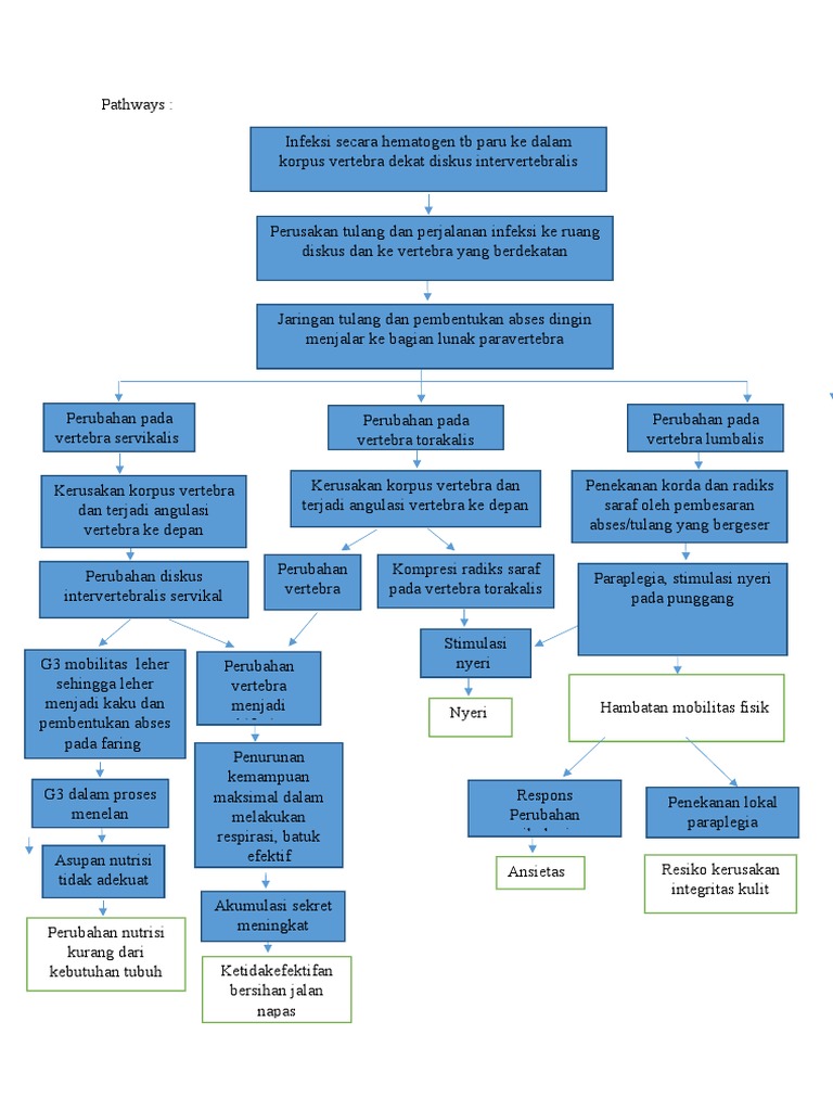 Pathways Spondilitis | PDF