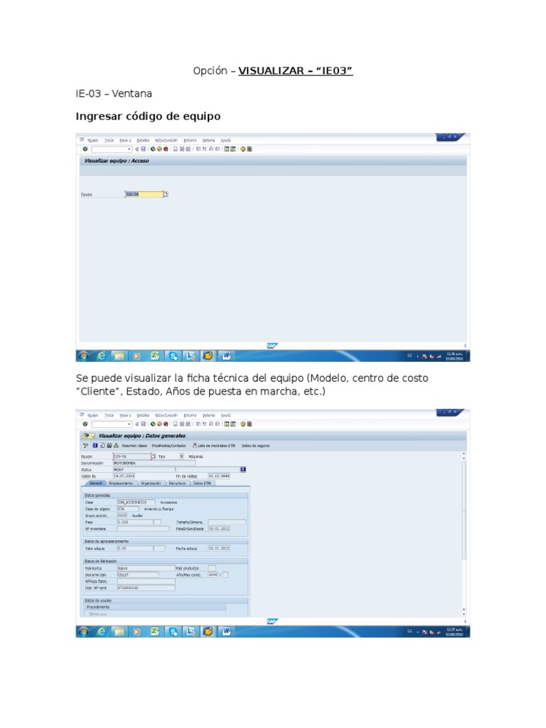 Opción Visualizar - IE03 SAP | PDF