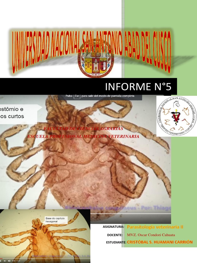 Informe Pr5 PDF | PDF | Artrópodos | Zoología