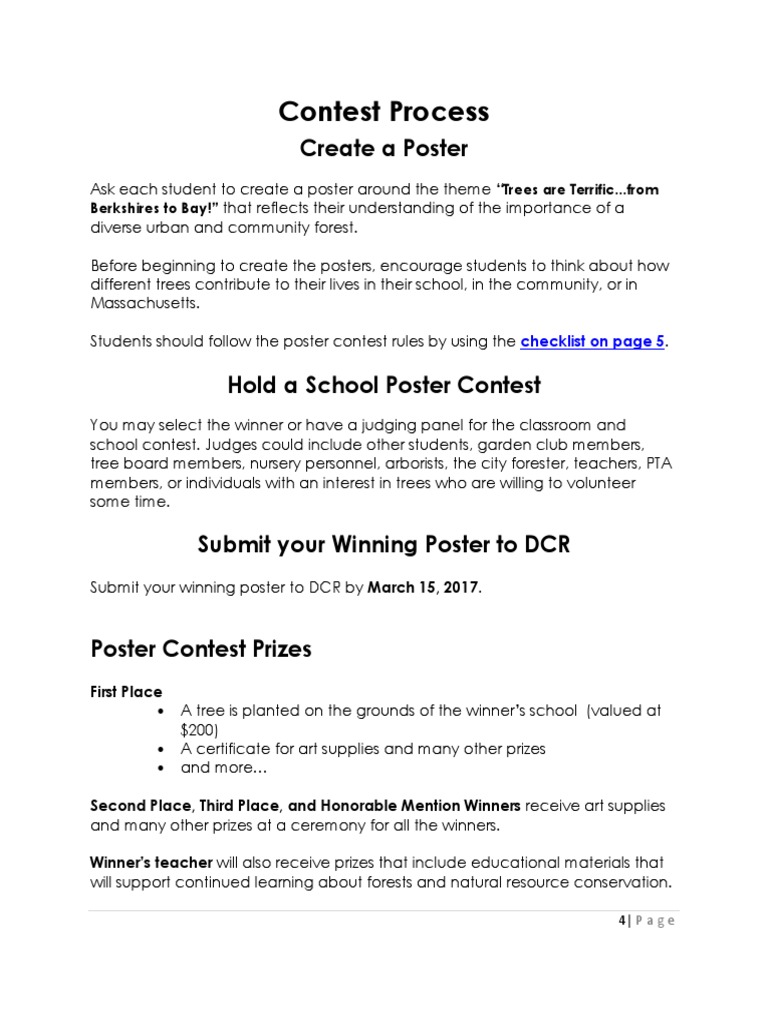 Contest Process: Create A Poster | PDF