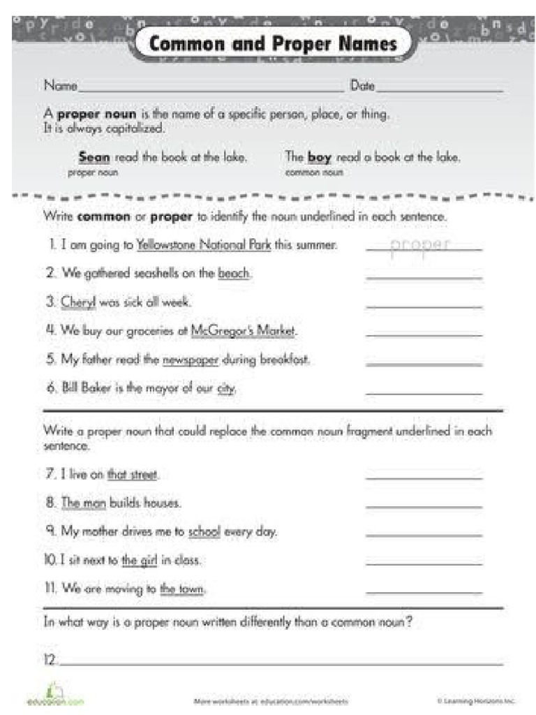 Proper and Common Nouns | PDF